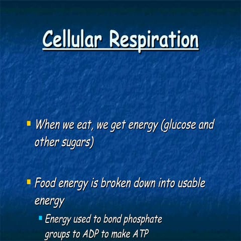 cellular respiration | PPT