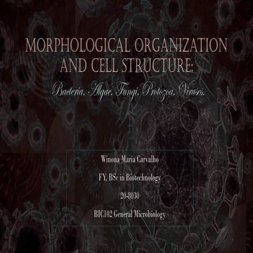 Morphological organization and cell structure of Micro-organisms. | PDF