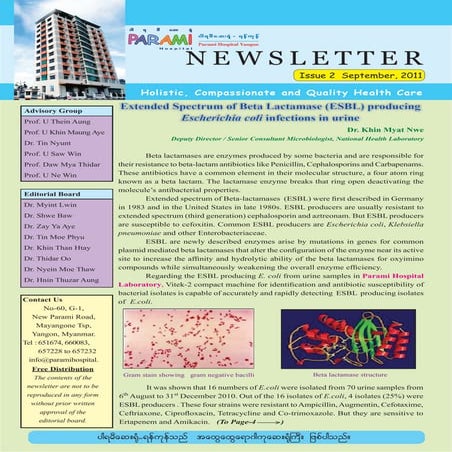 Parami Hospital- News Letter | PDF