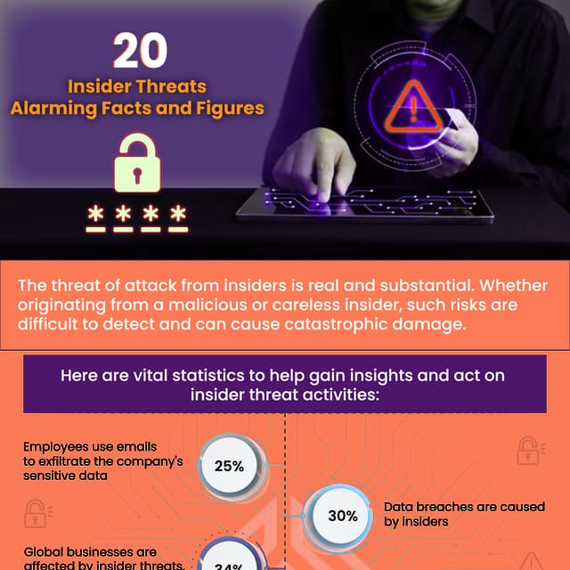 Infographic | Insider Threats: Top 20 Alarming Statistics and Figures | PDF