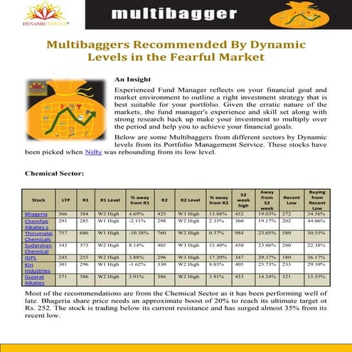 20 multibagger-stocks | PDF | Commodities | Economy