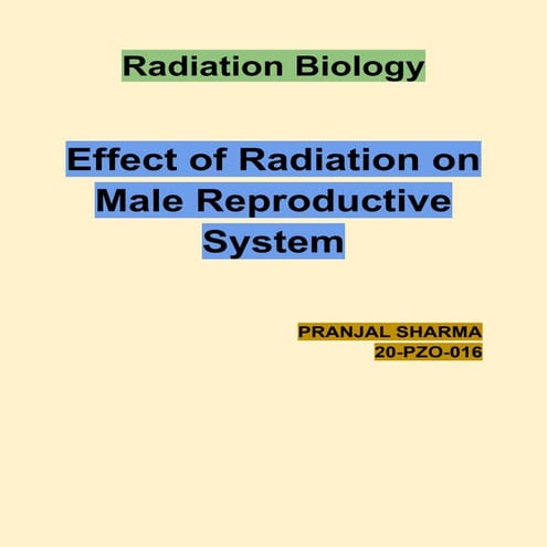 Radiation Biology- Effect of Radiations on Male Reproductive System | PDF