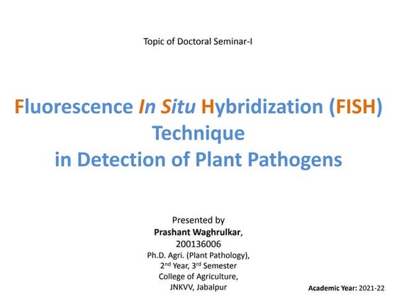 Fluorescent in situ hybridization (FISH) | PPT