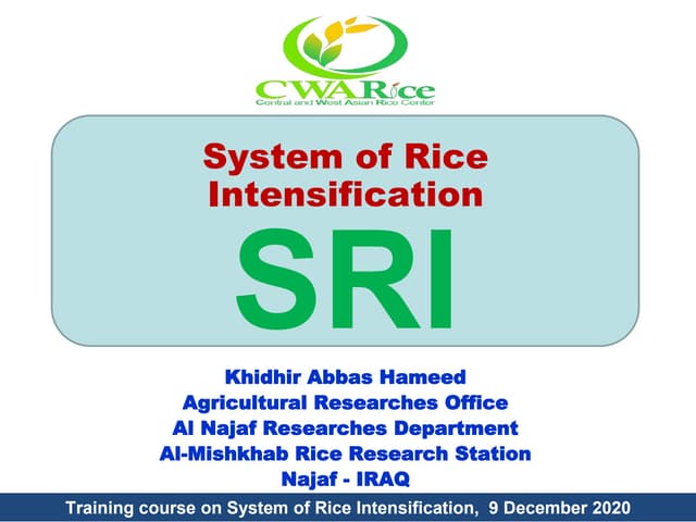 System of rice Intensification (SRI) | PPTX