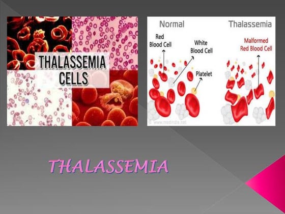 Thalassemia | PPTX | Pregnancy | Reproductive Health