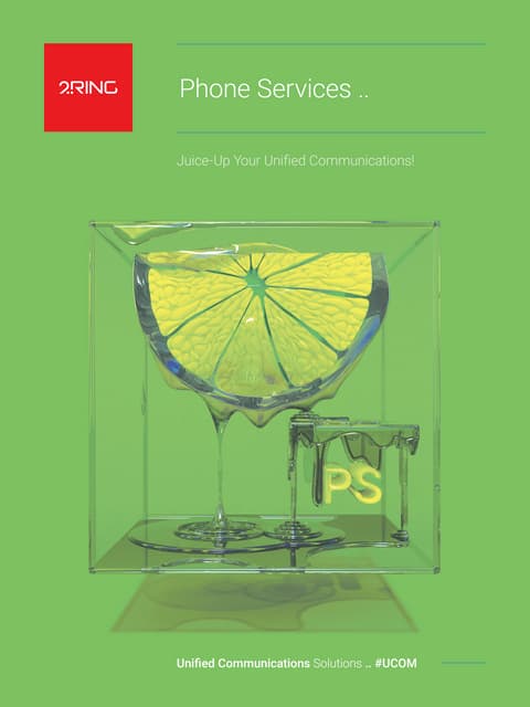 2Ring Dashboards & Wallboards Datasheet | PDF | Business | Business and Finance