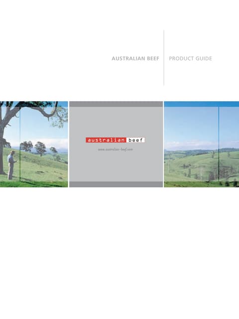 Brazilian Beef Production and Quality | PDF