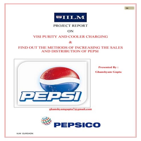 2003 pepsi project report | DOC