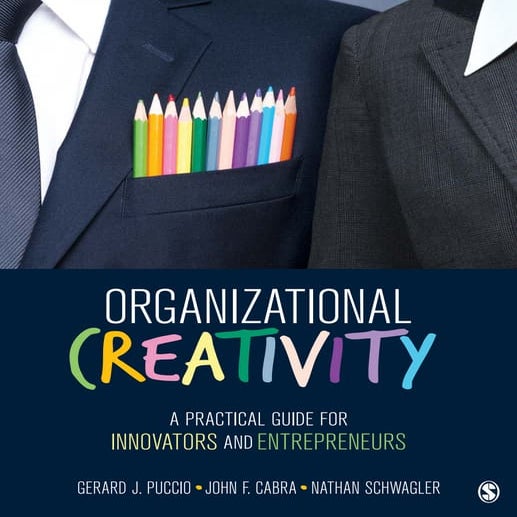 Organizational Creativity A Practical Guide for Innovators ...