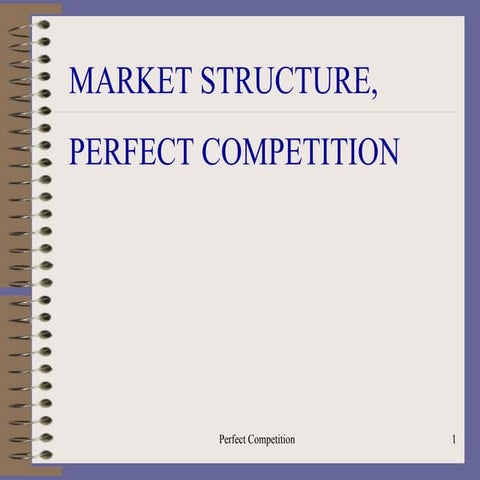 2004 Perfect Competition Lecture Slides.ppt