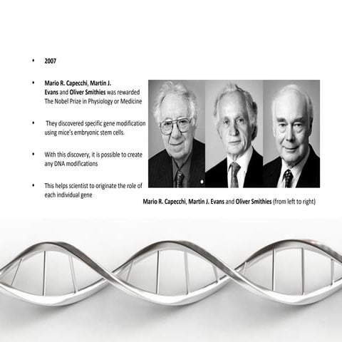 Human Genetic Variation | PPT