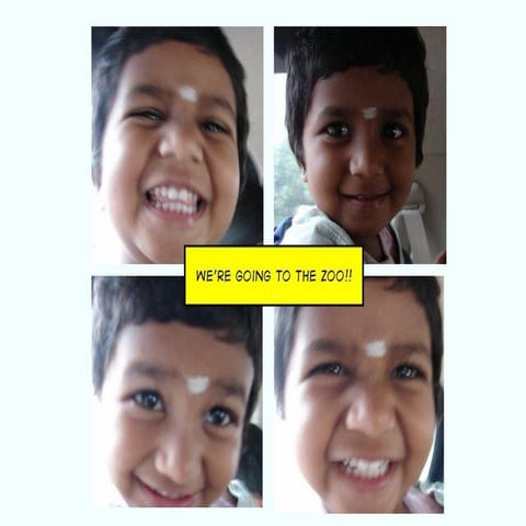 2008 03 Mysore Zoo Brindavan | PPT