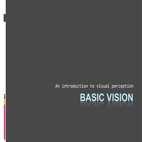 20080205 basic vision2 | PPT