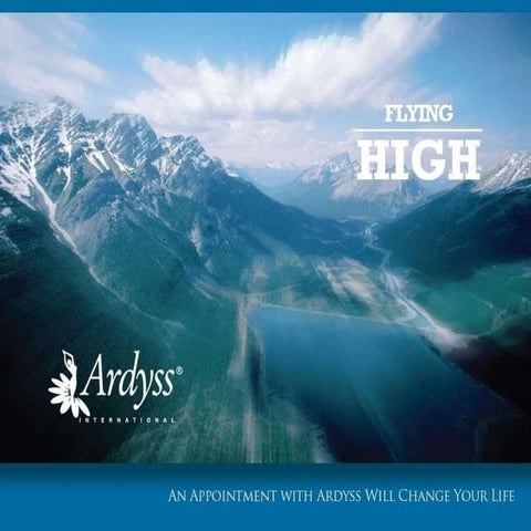 2008 07 Flying High Presentation | PPT