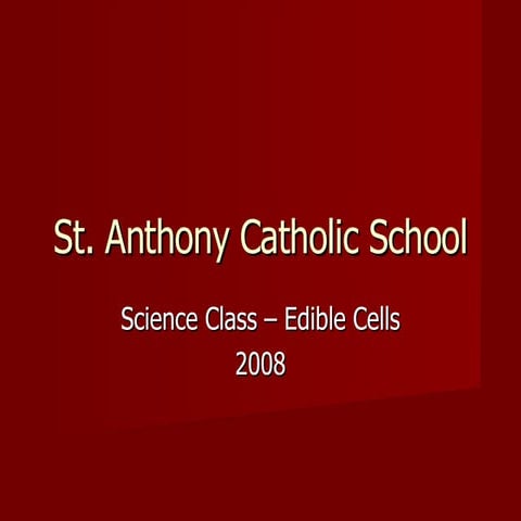 2008 09 Science Class | PPT | Food & Drink