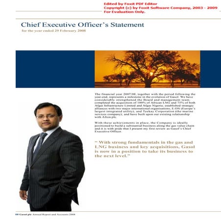 2008 CEO Statement | PDF | Mergers and Acquisitions | Business Banking ...