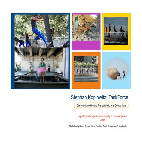 Stephan Koplowitz: TaskForce 2008 (Liquid Landscapes) | PDF