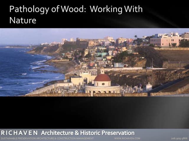 Anisotropic nature of wood | PPTX