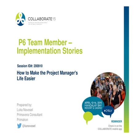 P6 Team Member – An Implementation Story (How to make Project Manager's ...