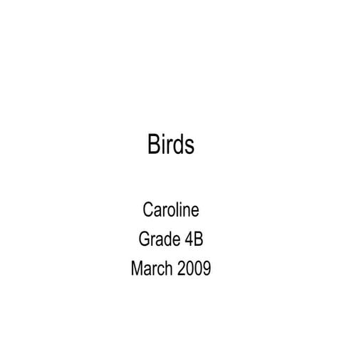 2009 Birds Sample | PPT