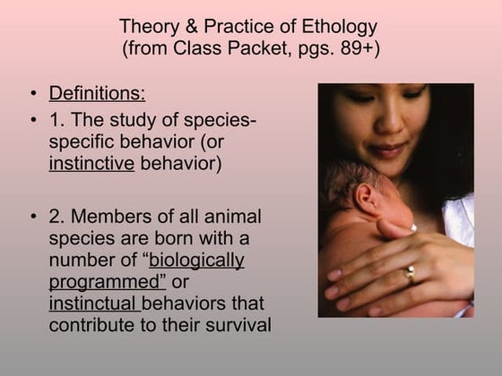 Genie, The Wild Child, and Language Acquisition | PDF