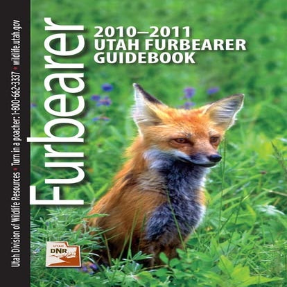 2010 11 furbearer | PDF