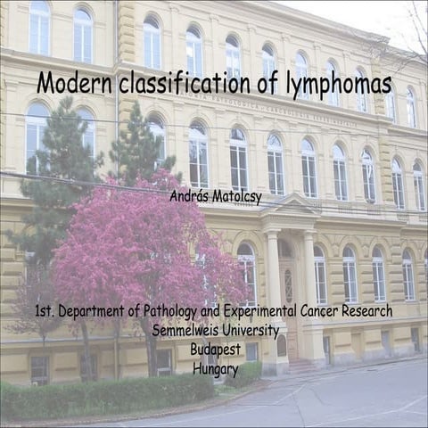 Modern classification of lymphomas (2010) VEAB presentation | PPT