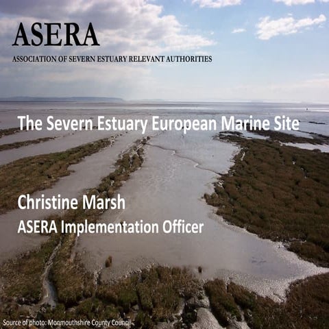 2010 04 The Severn Estuary European Marine Site – Christine Marsh | PPS