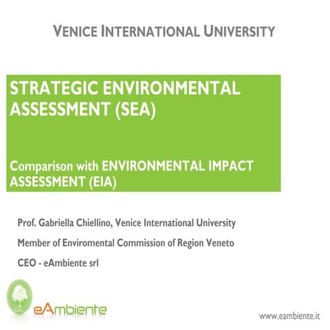 STRATEGIC ENVIRONMENTAL ASSESSMENT (SEA) | PPT