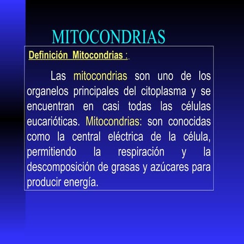 Las Mitocondrias | PPTX
