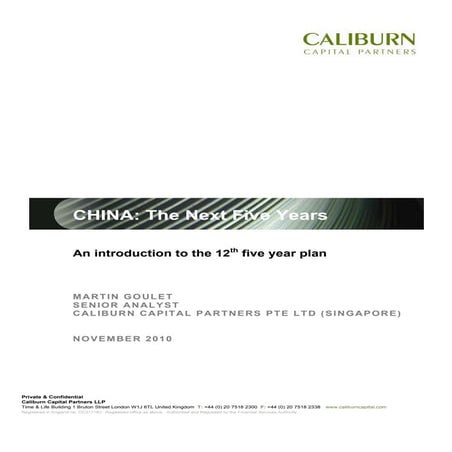 201011 China The Next Five Years | PDF