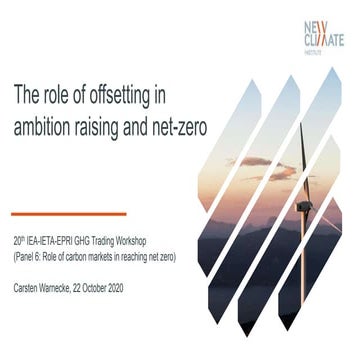 The role of offsetting in ambition raising and net-zero | PPT