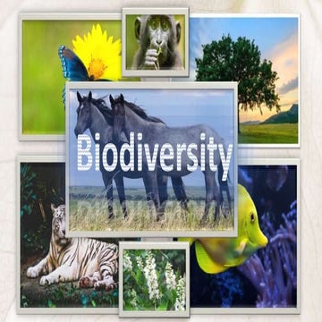Presentation on Biodiversity | PPT
