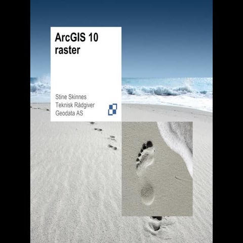 2010 ArcGIS 10 Roadshow: Raster | PDF