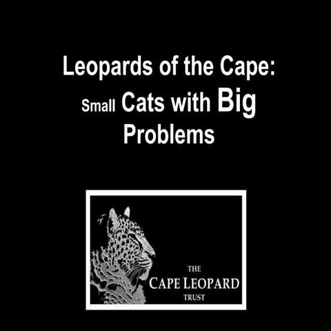Leopards of the Cape - Small Cats with Big Problems | PPT