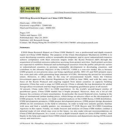 2010 deep research report on china cdm market | PDF