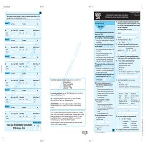 US Census 2010 Form | PDF | Parenting Babies and Toddlers | Parenting