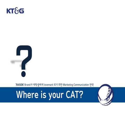2010 kt&g raison lovemark전략 missing cat | PPTX