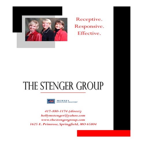 How The Stenger Group Can Help You | PDF