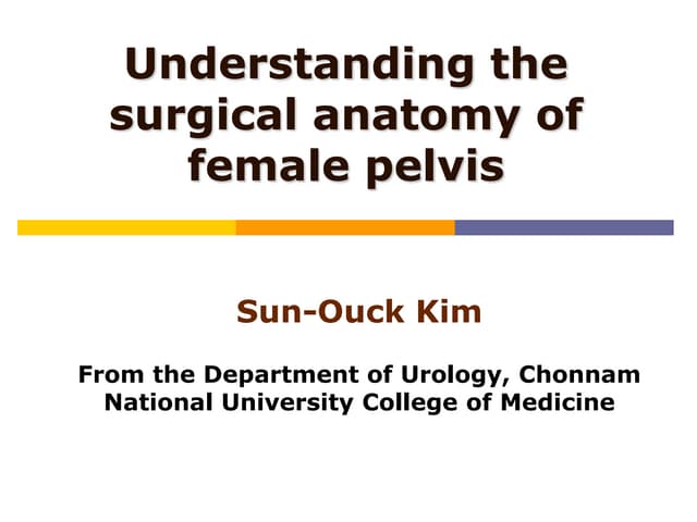 Radiological Imaging In Perianal Fistula Pptx