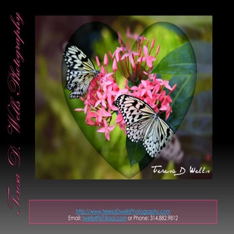 2010 Presentation | PPT