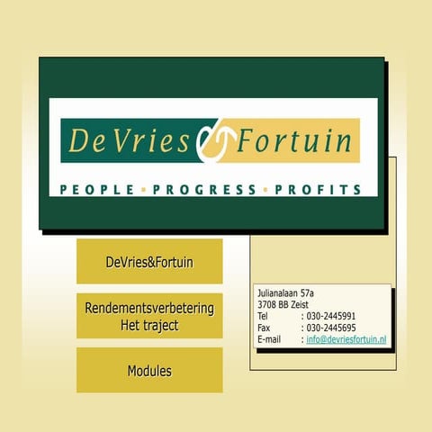 2010 Profiel De Vries&Fortuin | PDF