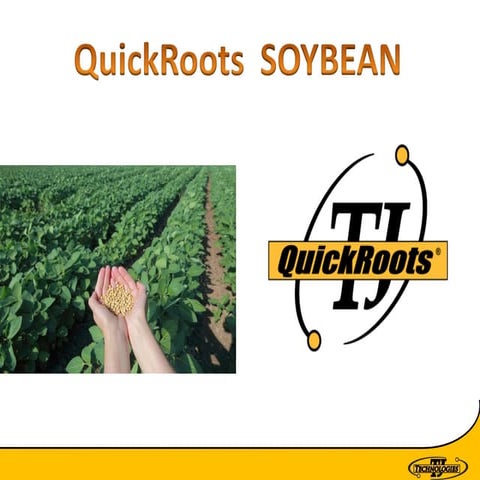 2010 soybean tj technologies | PPT