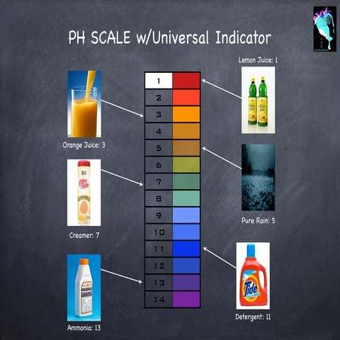 The PH Scale | PDF