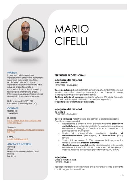 CV Marco Merlo | PDF