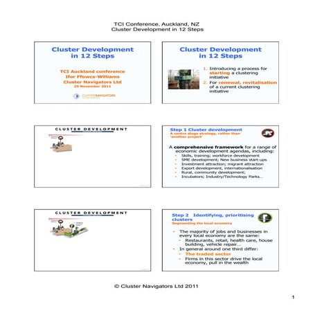 Cluster basics: Cluster Development in Twelve Steps | PDF