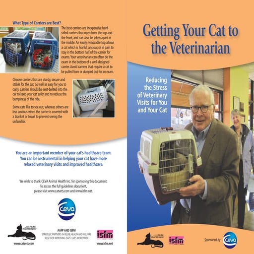 The Confined Cat Part 2: Keeping Safe and Sane - Claire Bessant, Feline ...