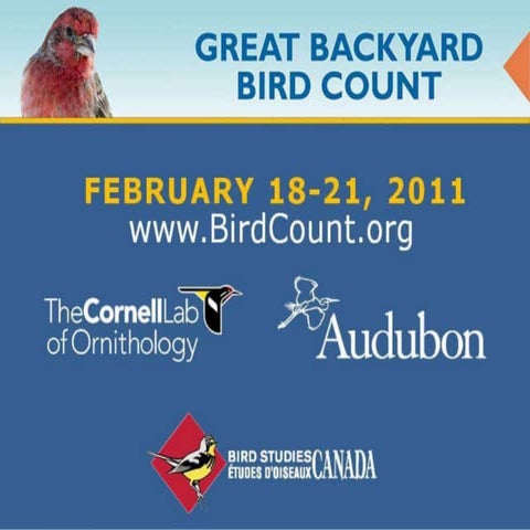 2011 Great Backyard Bird Count | PDF
