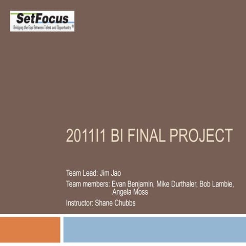 2011I1 BI Final Project Presentation | PPT