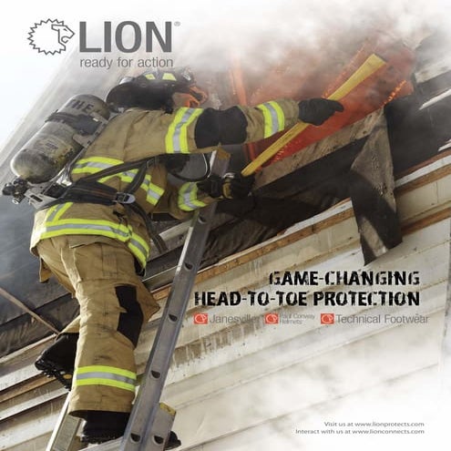 2011 Lion Catalog | PDF
